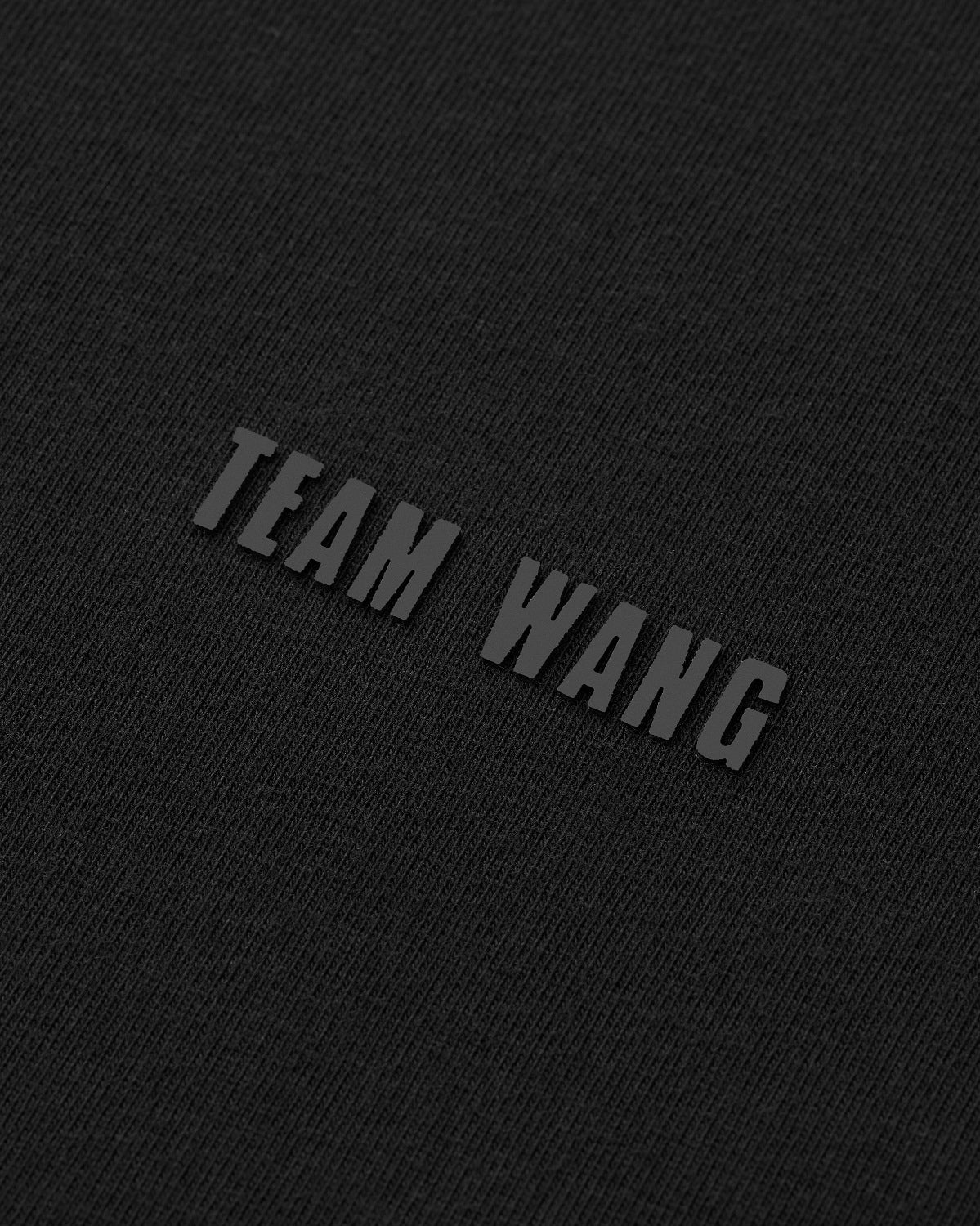 MINI TEAM WANG LOGO T-SHIRT – TEAM WANG design