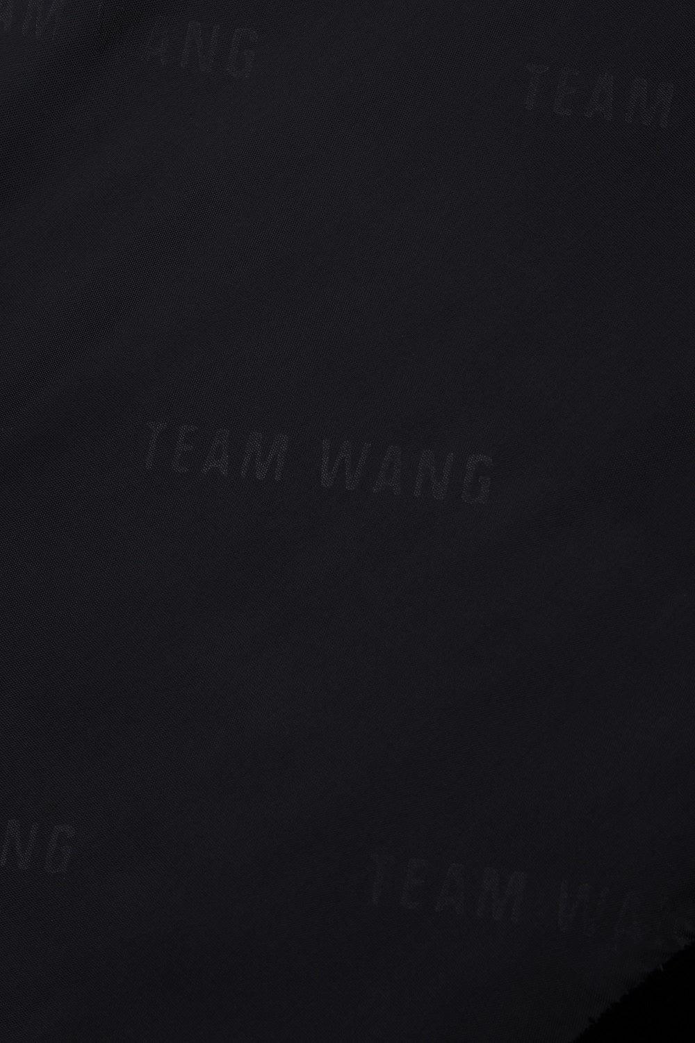 TEAM WANG PRINTED LOGO VELVET DOWN JACKET - TEAM WANG DESIGN – TEAM ...